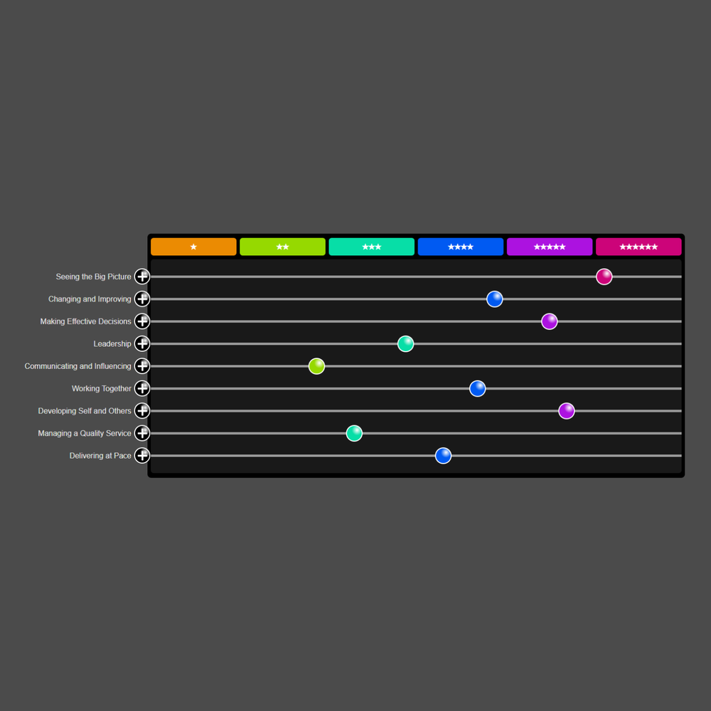 Any Role Development: Personal Effectiveness Framework